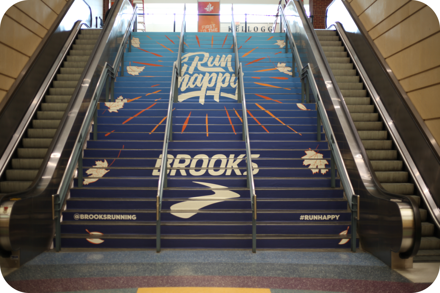 The Beginner’s Guide to Floor Graphics - Modernistic